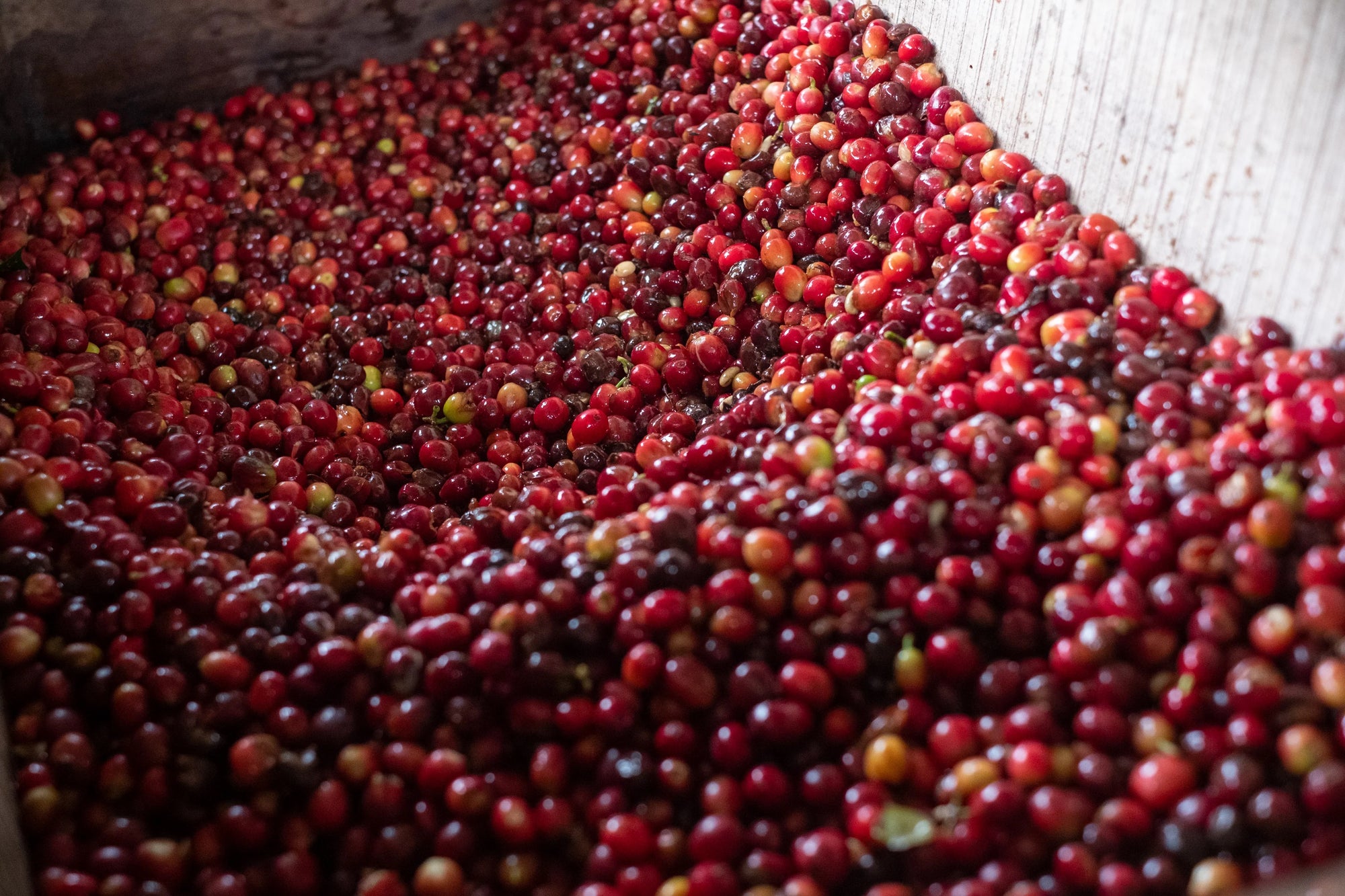 Relative Coffee Co